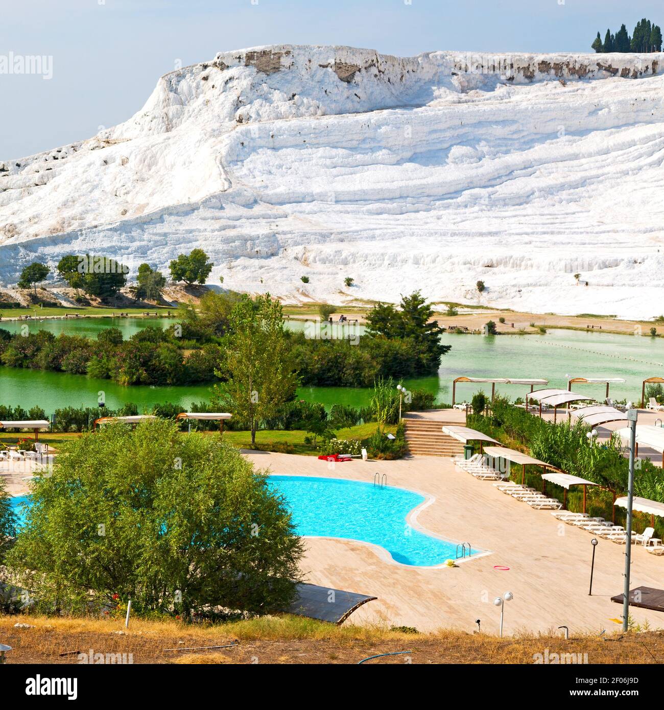 Tree unique abstract in pamukkale turkey asia the old calcium bath and ...