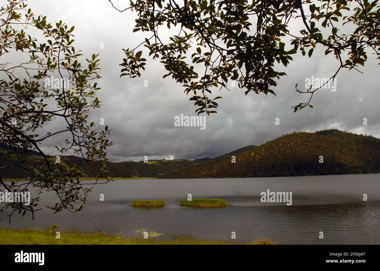 BITAHAI LAKE,ZHONGDIAN, SHANGRI LA ,YUNNAN PROVINCE, CHINA PIC MIKE ...