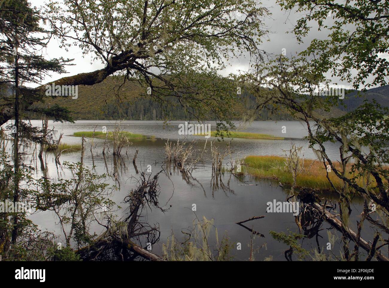 BITAHAI LAKE,ZHONGDIAN, SHANGRI LA, YUNNAN PROVINCE, CHINA PIC MIKE ...