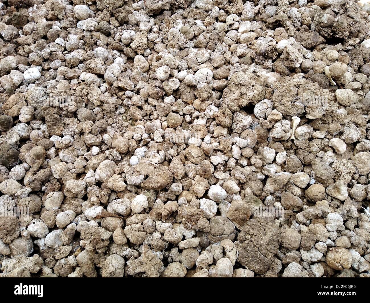Composting pigs to fertilize plants.Dried Pig Manure Stock Photo - Alamy