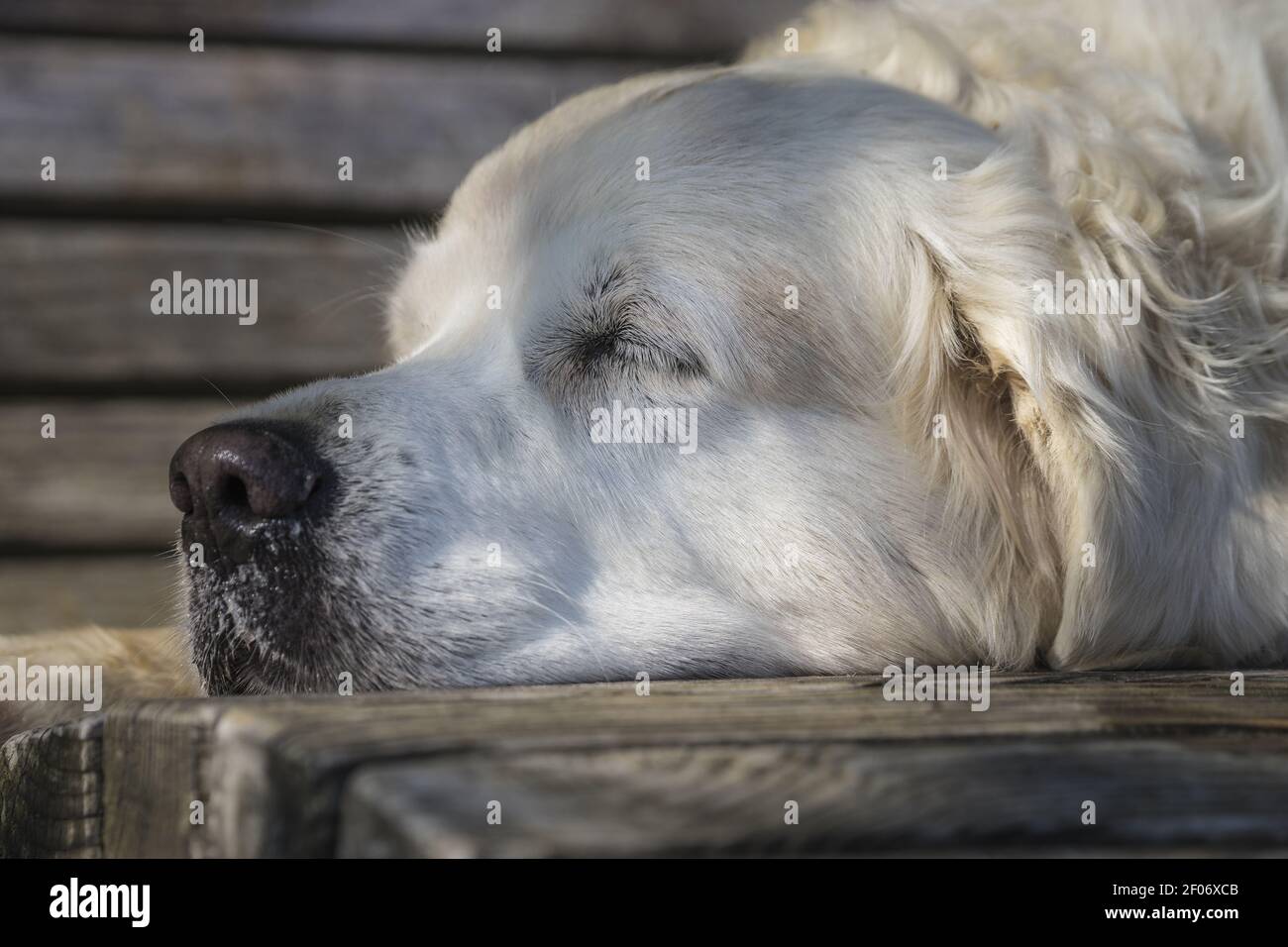 Relaxen family hi-res stock photography and images - Alamy