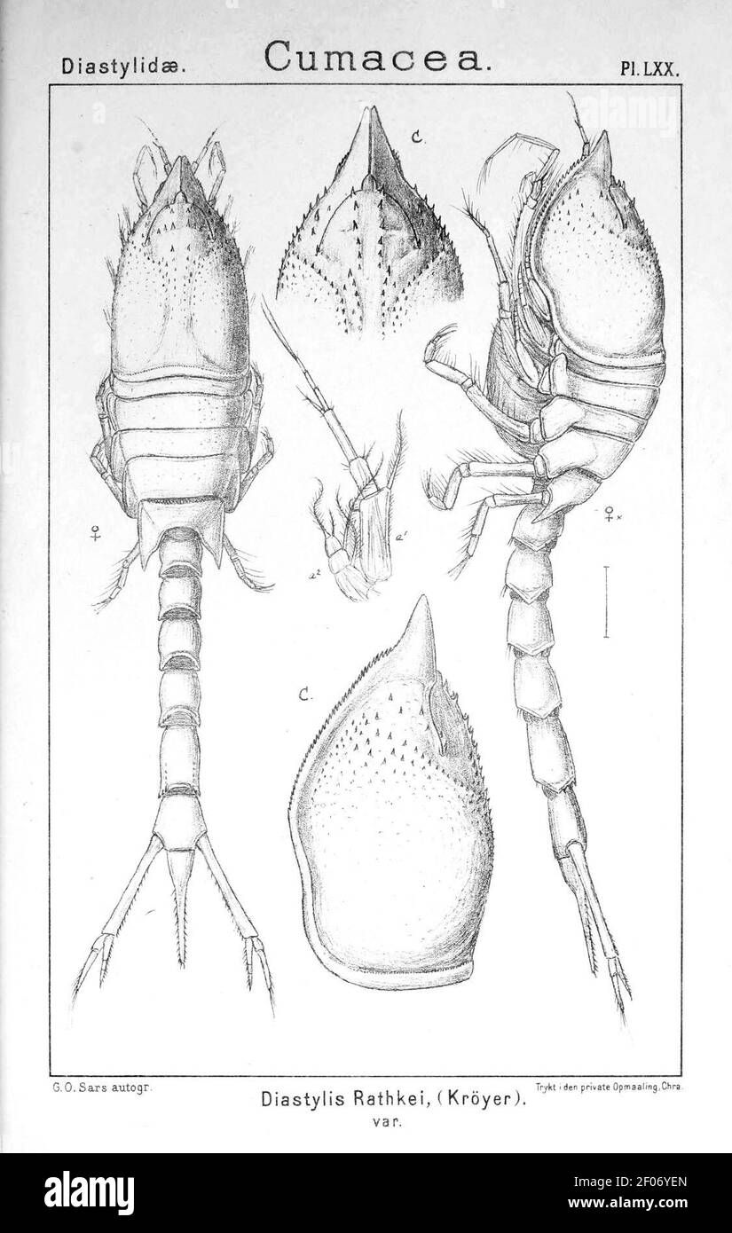 Lxx Black and White Stock Photos & Images - Alamy