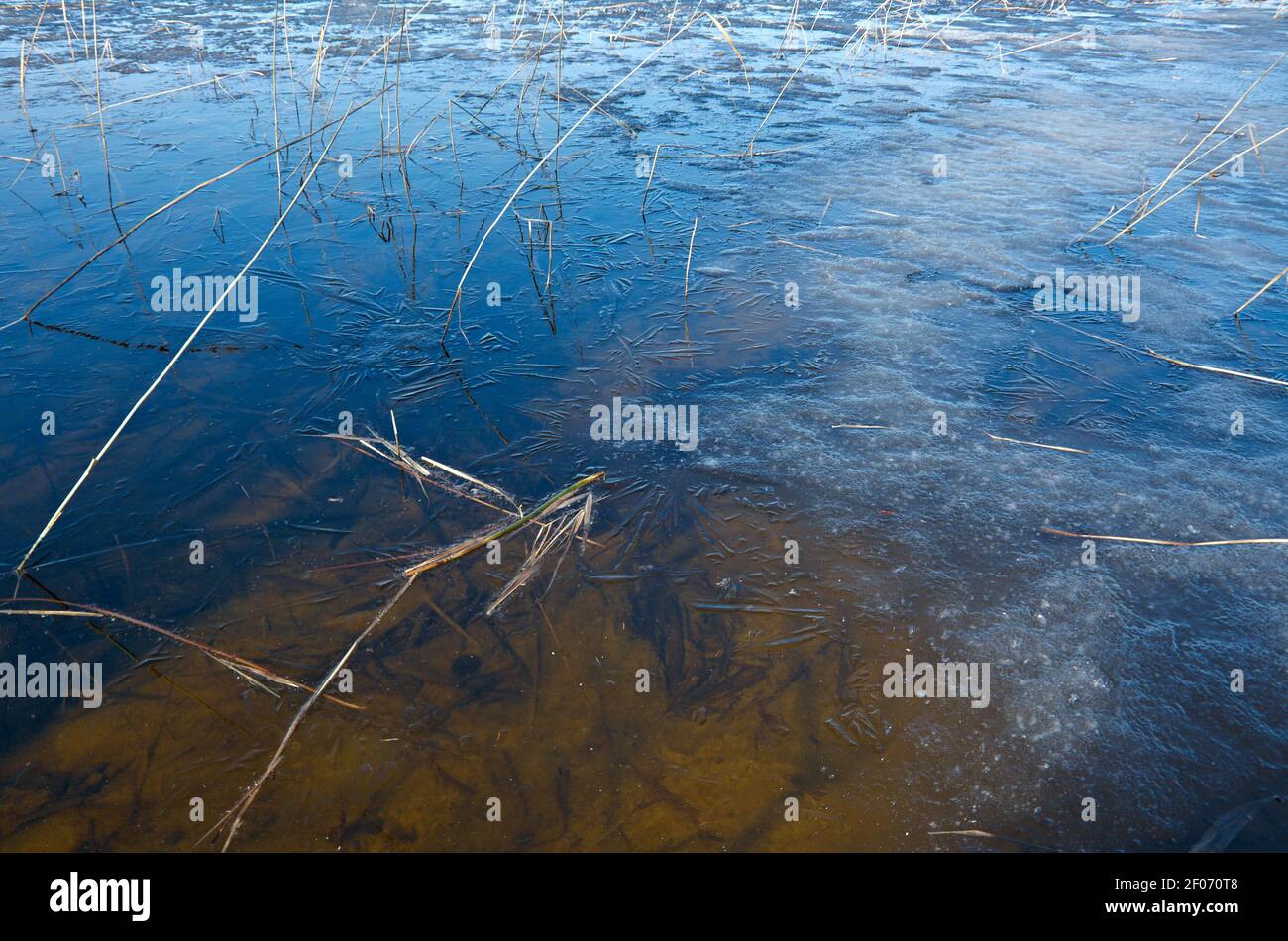 Spring flooding on the lake Stock Photo - Alamy