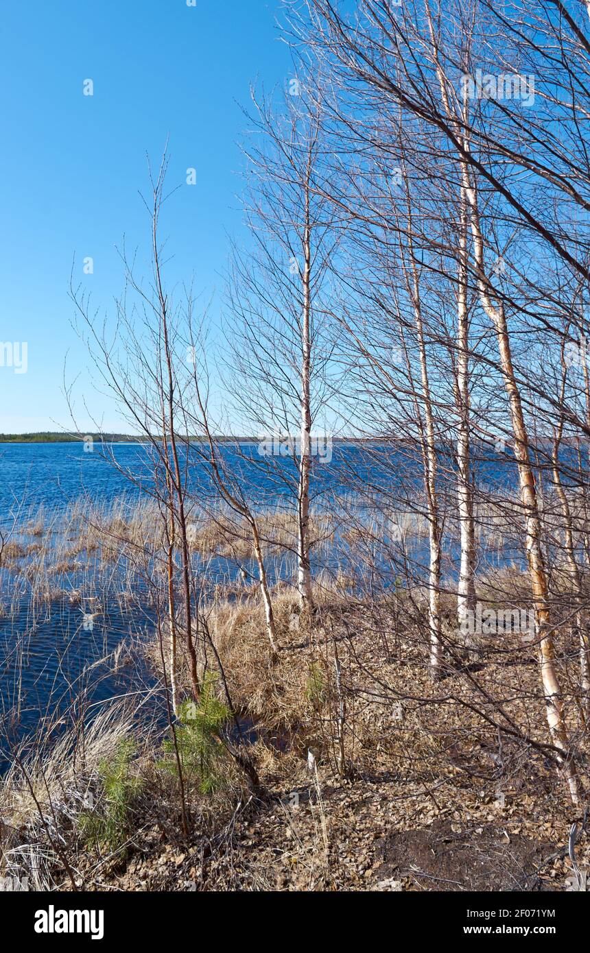 Spring flooding on the lake Stock Photo - Alamy