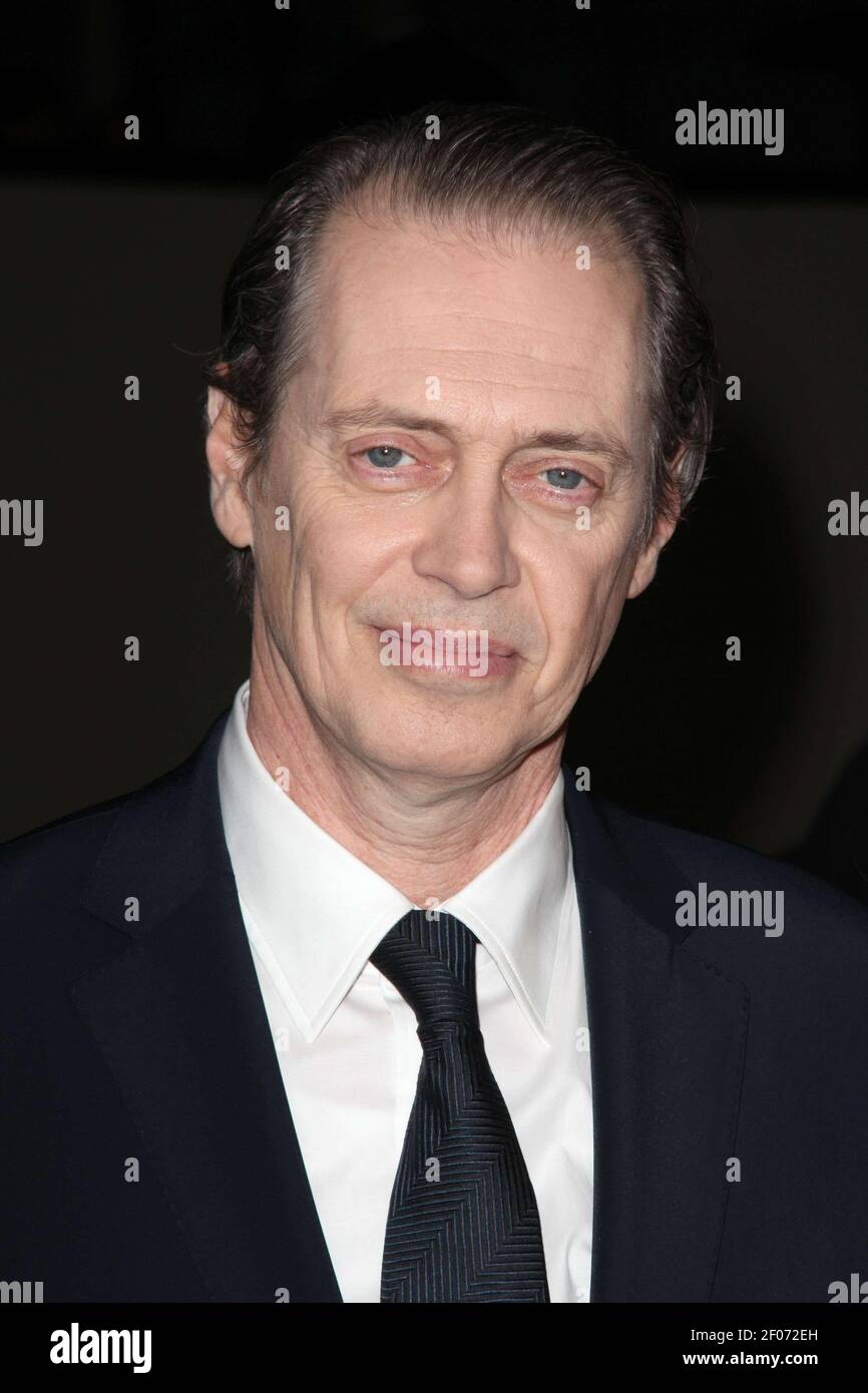 29 January 2011 - Hollywood, CA - Steve Buscemi arrives at the 62nd ...