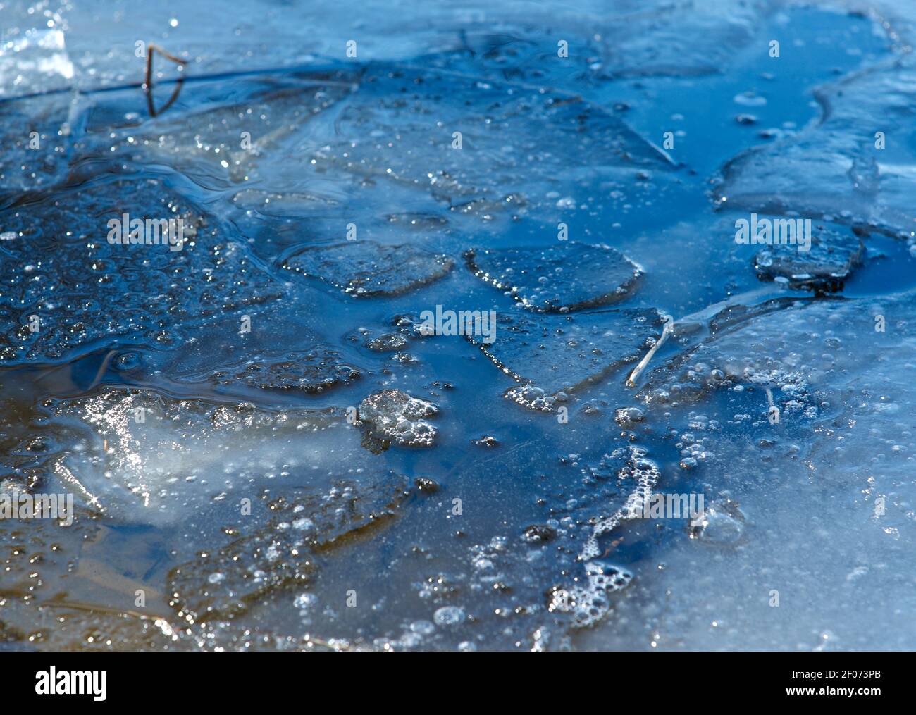Spring flooding on the lake Stock Photo - Alamy