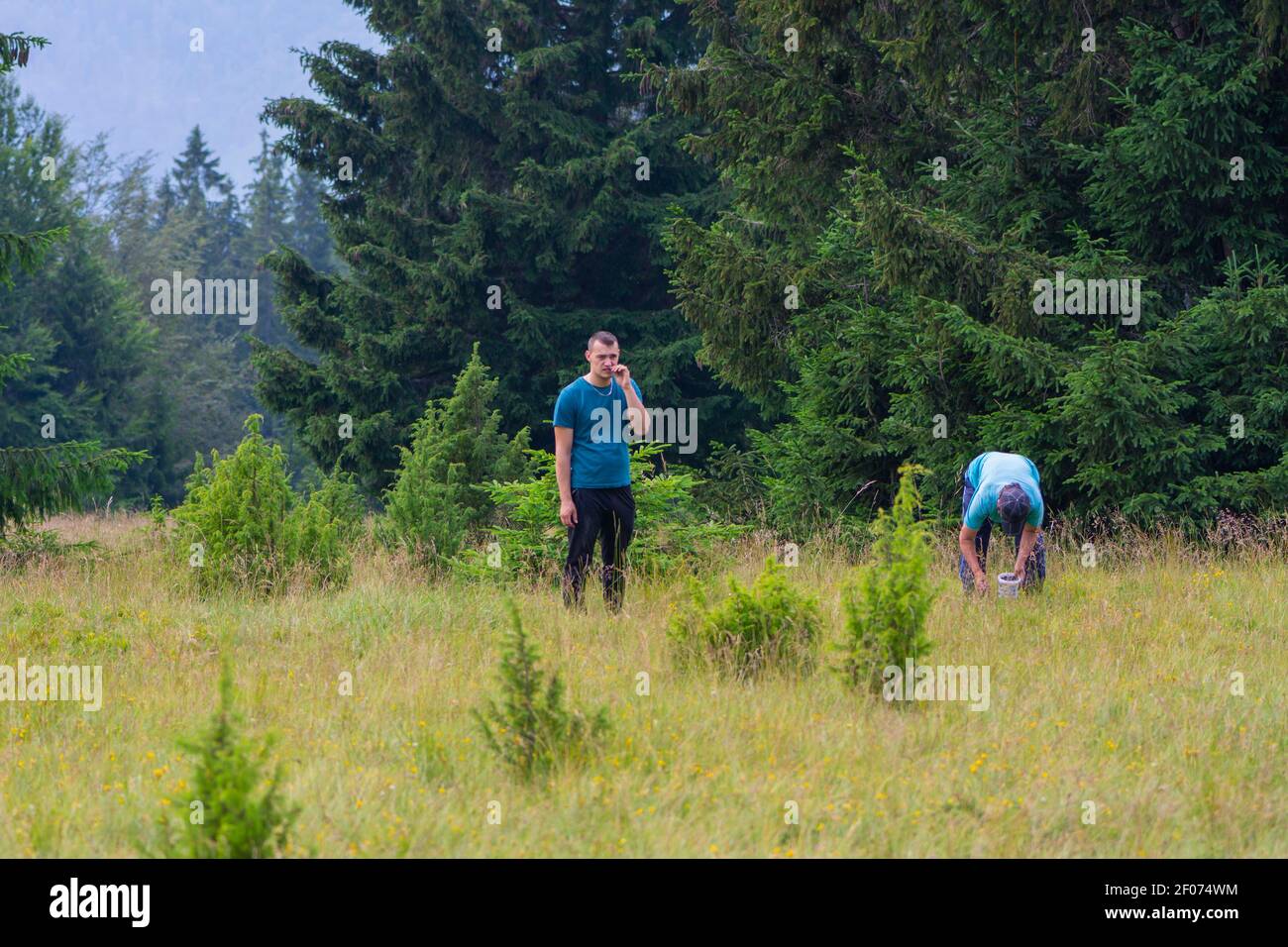 Two man in the forest at summer day Stock Photo - Alamy
