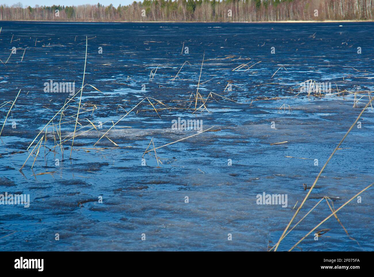 Spring flooding on the lake Stock Photo - Alamy