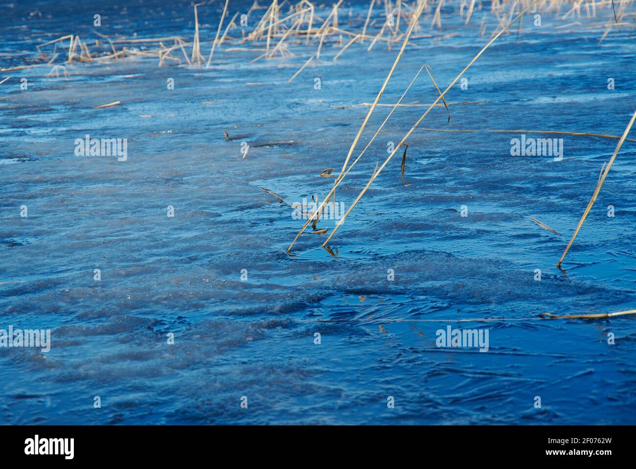 Spring flooding on the lake Stock Photo - Alamy