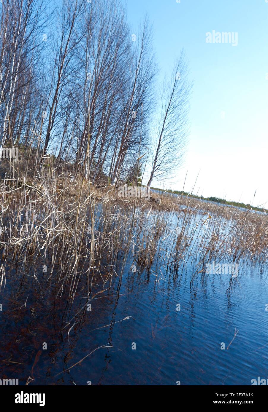 Spring flooding on the lake Stock Photo - Alamy