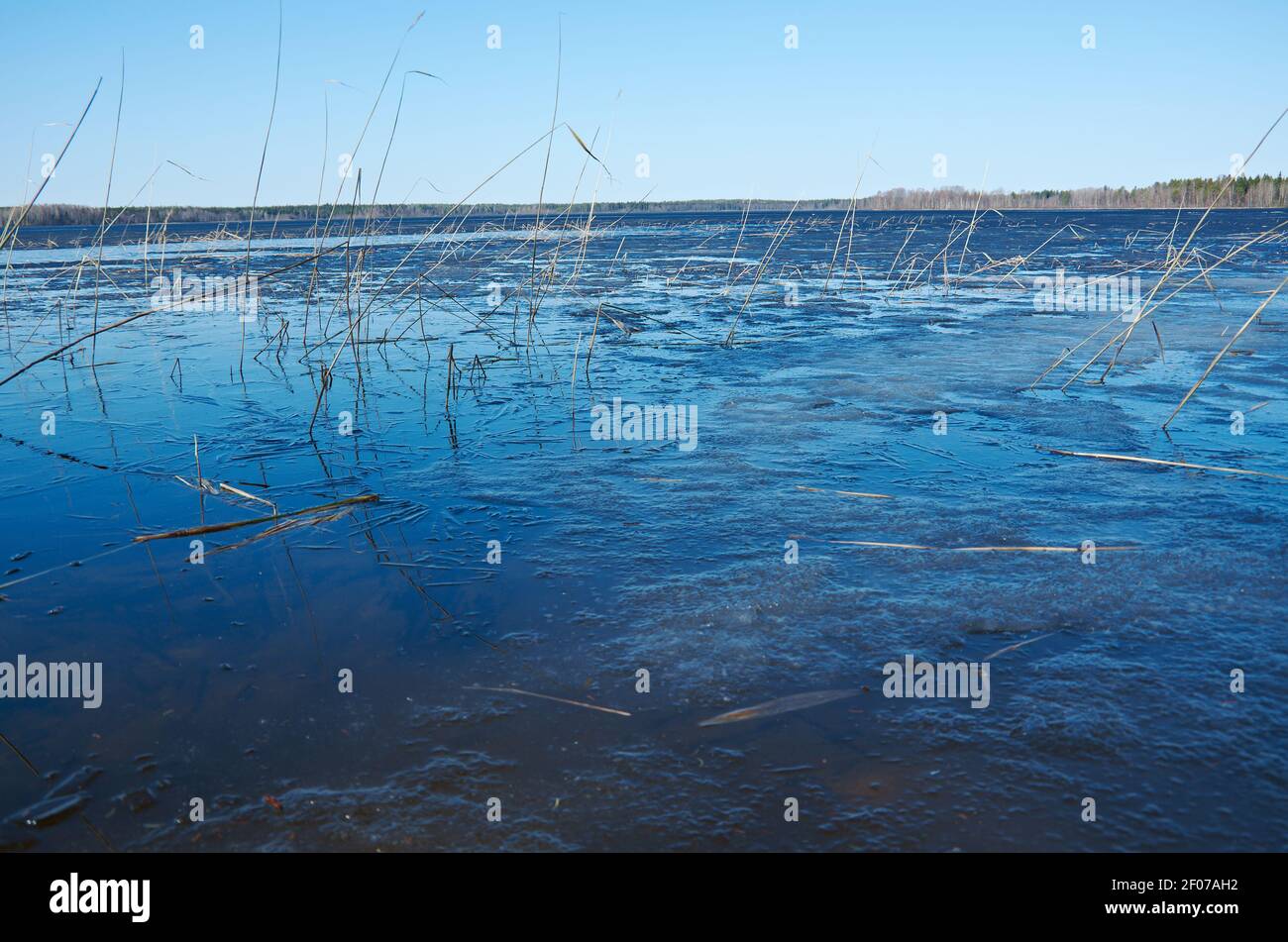 Spring flooding on the lake Stock Photo - Alamy