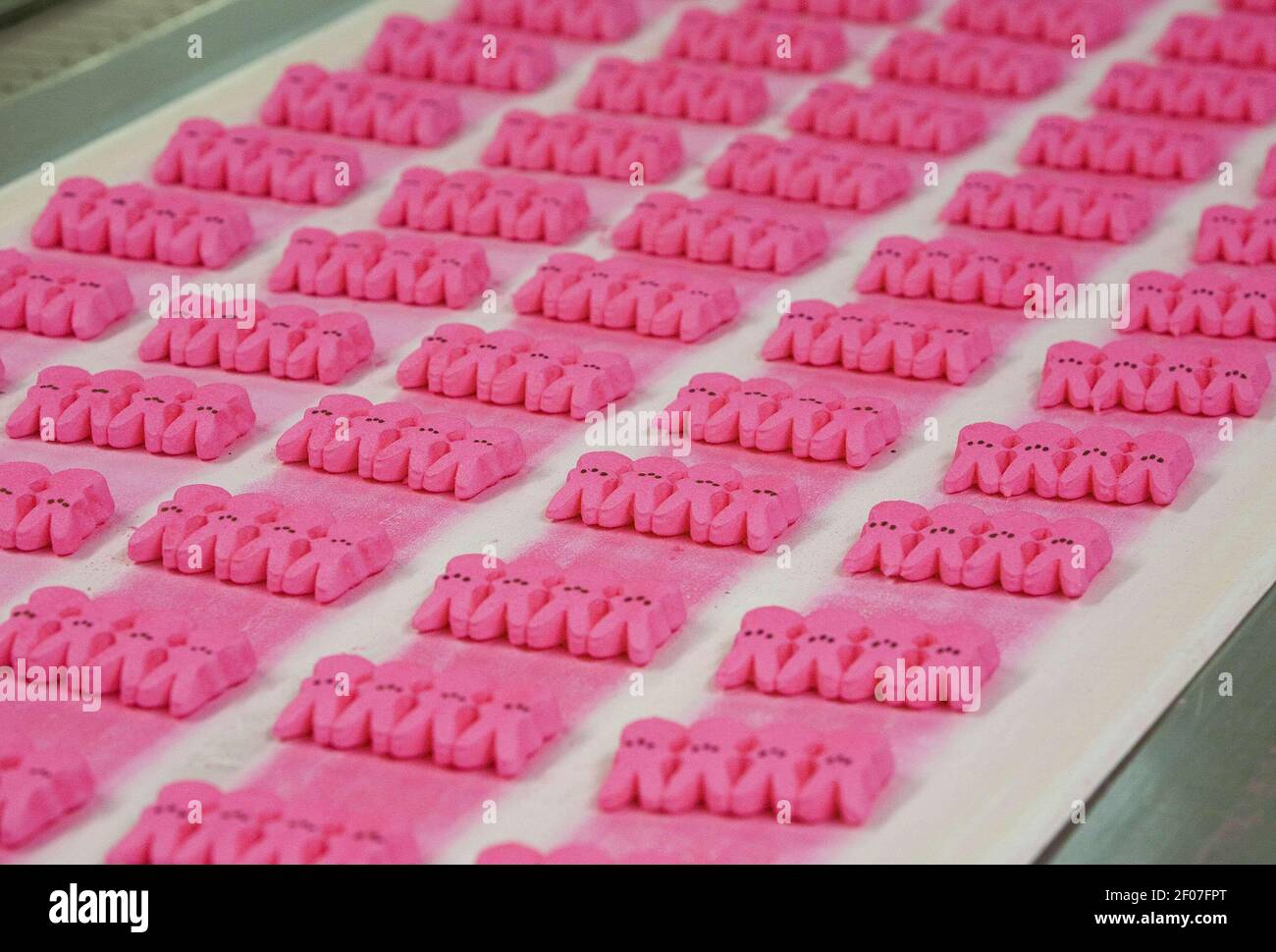 11 March 2011 - Bethlehem, Pennsylvania - The Marshmallow Peeps ...