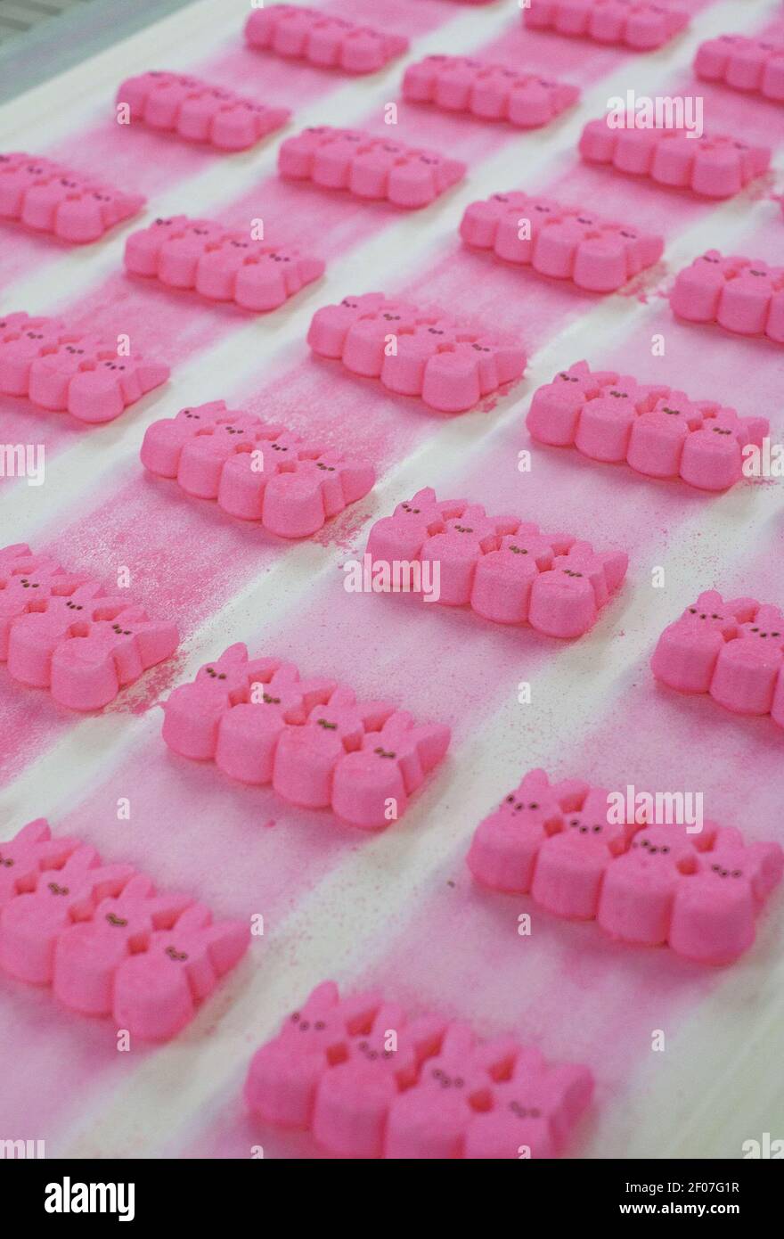 11 March 2011 - Bethlehem, Pennsylvania - The Marshmallow Peeps ...