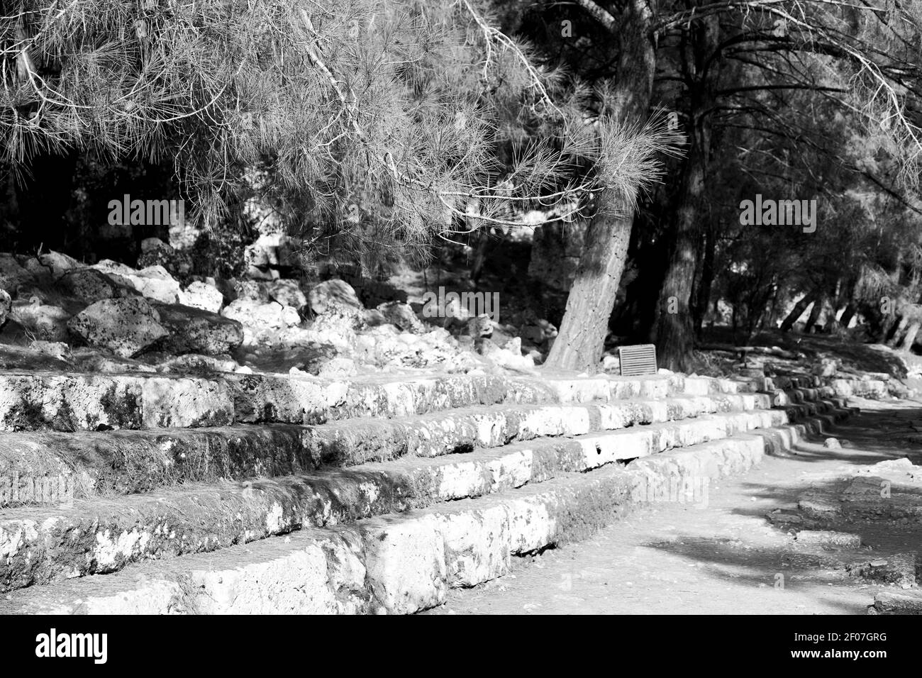 Old ruined column and destroyed stone in phaselis temple turkey asia ...