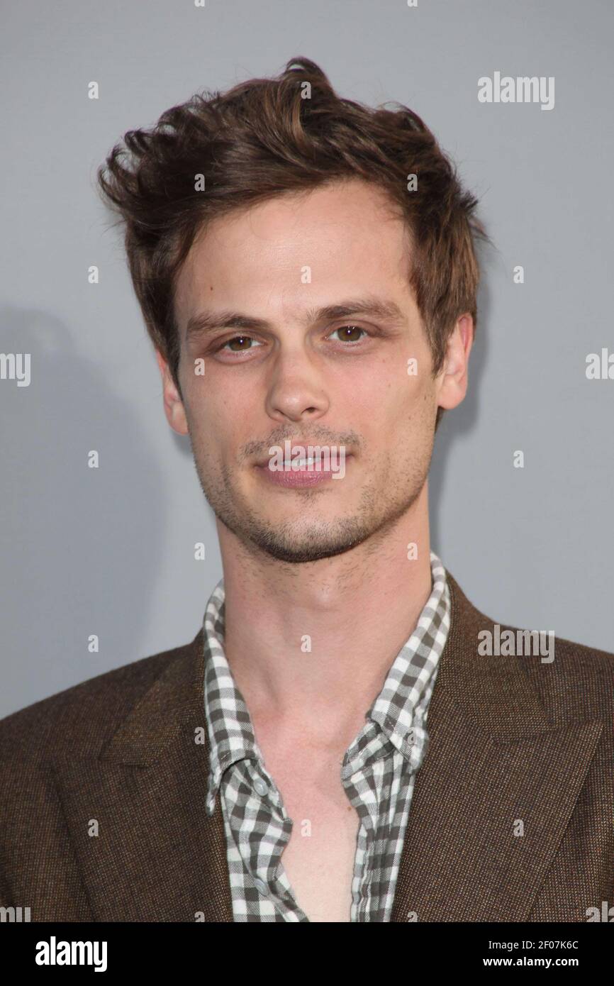 28 March 2011 - Hollywood, CA - Matthew Gray Gubler arrives to the ...