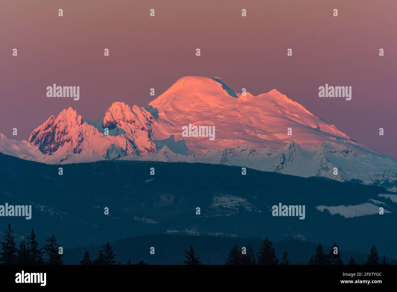 Volcanic Mount Baker in Washington State in the pink glow of sunset ...