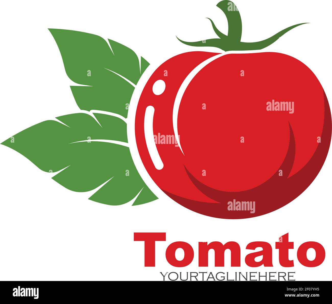 fresh tomato vector illustration design template Stock Vector Image ...