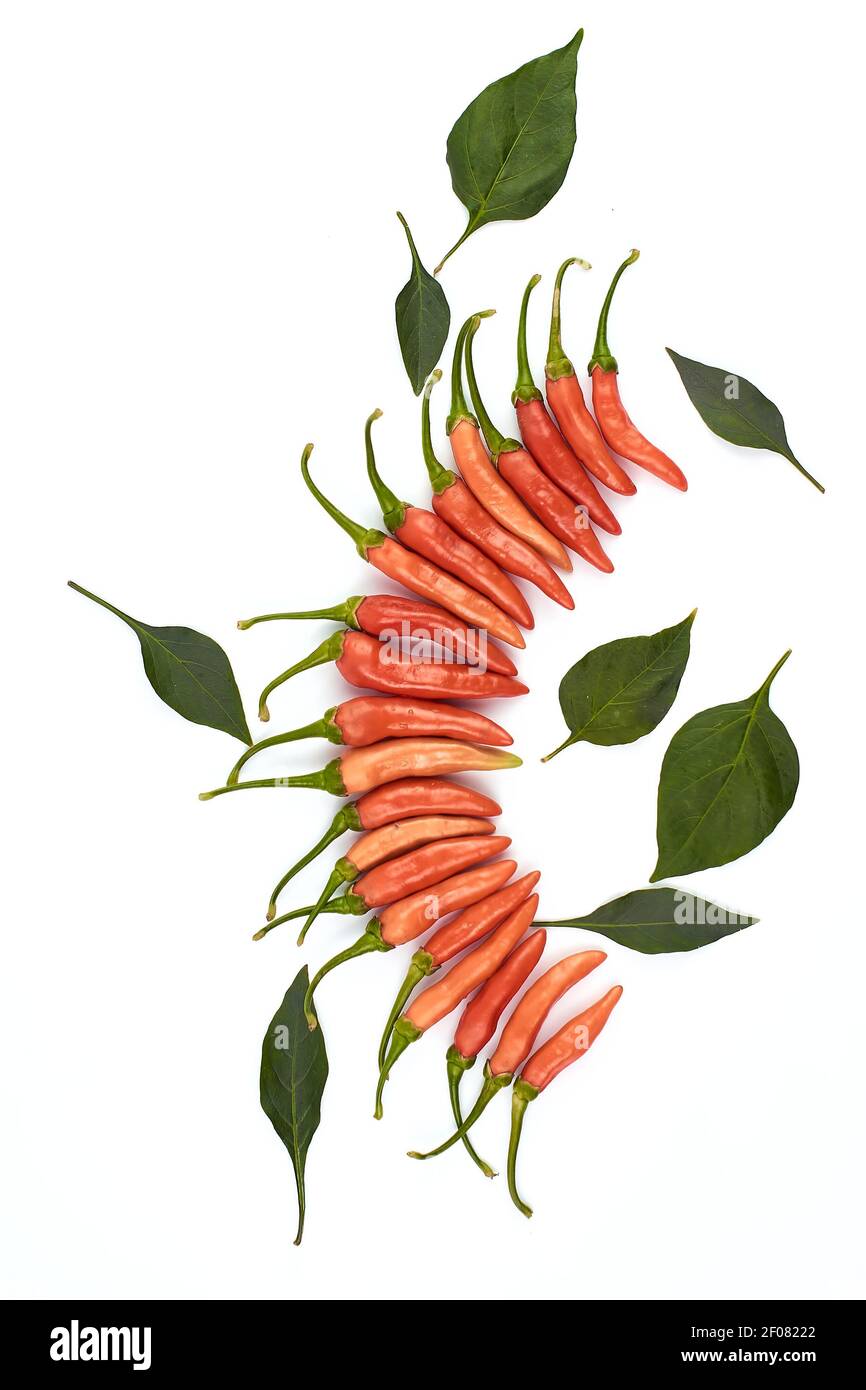 Top view of fresh Cayenne Pepper isolated on white background Stock ...