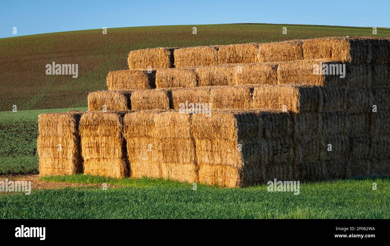 Terraced seating hi-res stock photography and images - Alamy
