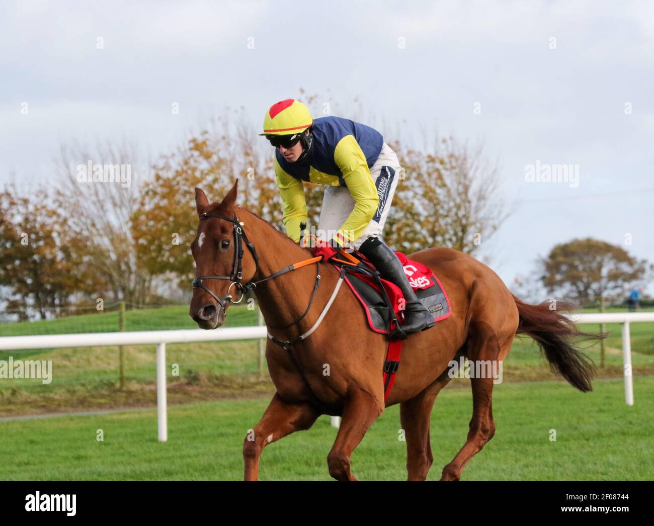 The storyteller national hunt racing hi-res stock photography and ...