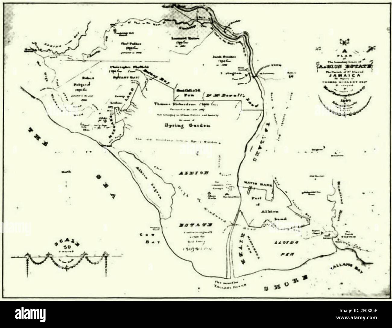 Plan of Albion Estate by Edward McGeachy, 1842 Stock Photo - Alamy