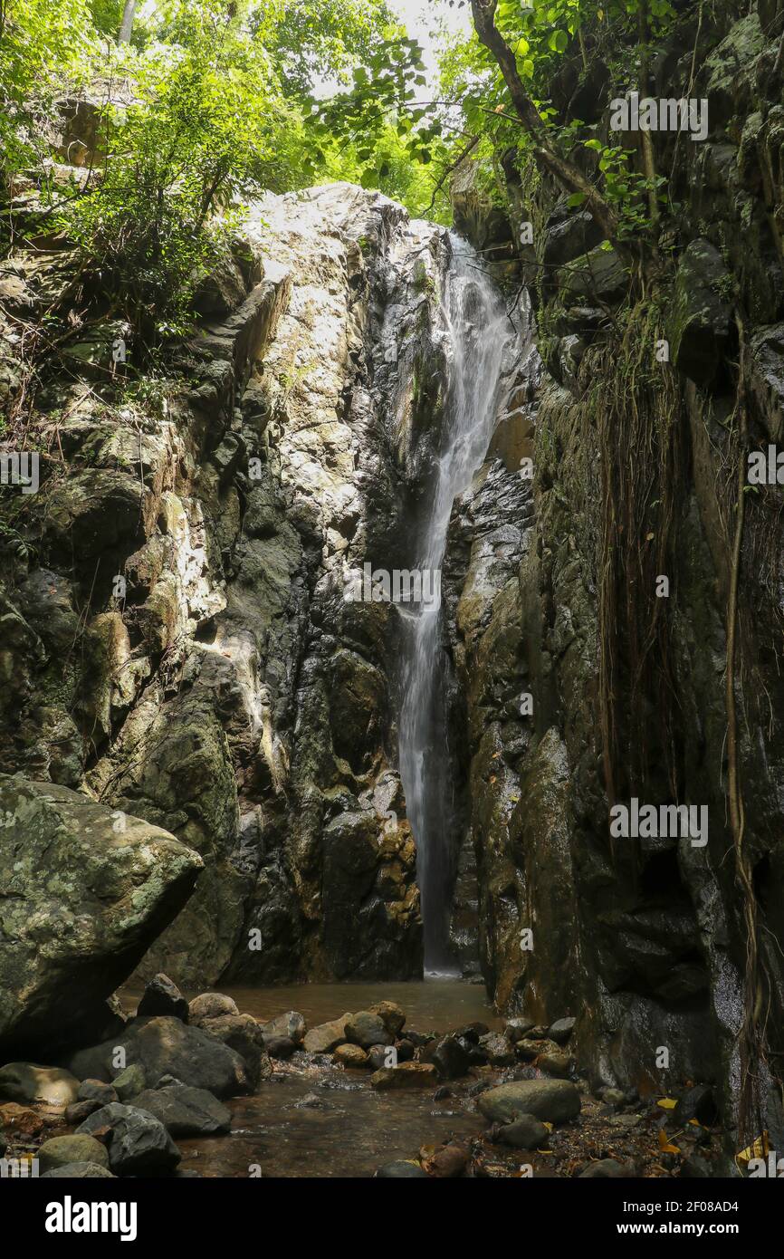 Beautiful waterfall in jungle. Waterfall in tropical forest with green ...