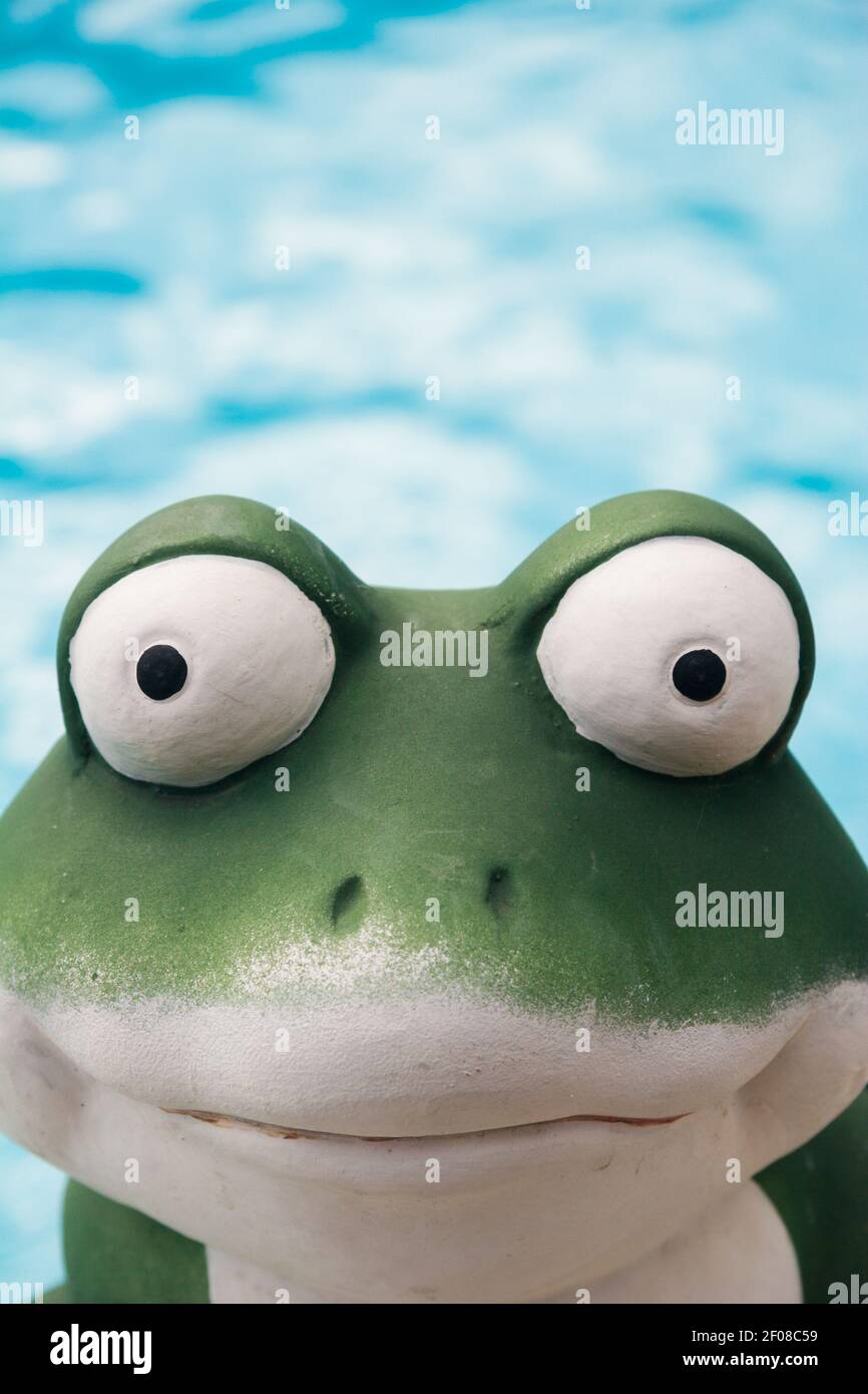 Frog eye hi-res stock photography and images - Alamy