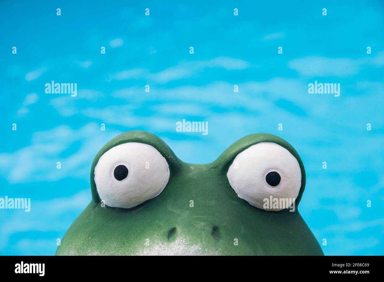 Frog eye view Stock Photo - Alamy