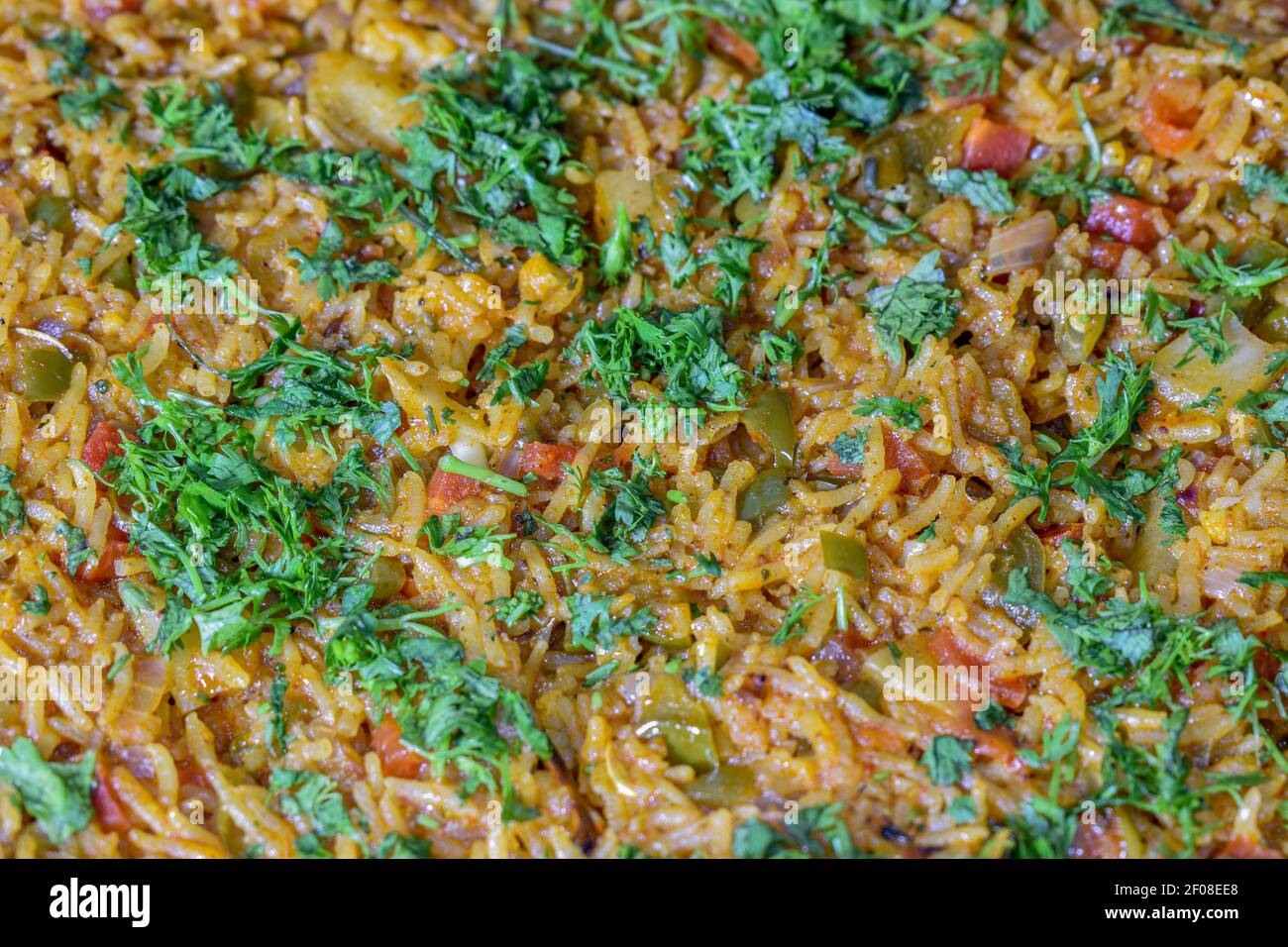 Biryani (also known as biriyani, biriani, birani or briyani).Biryani ...