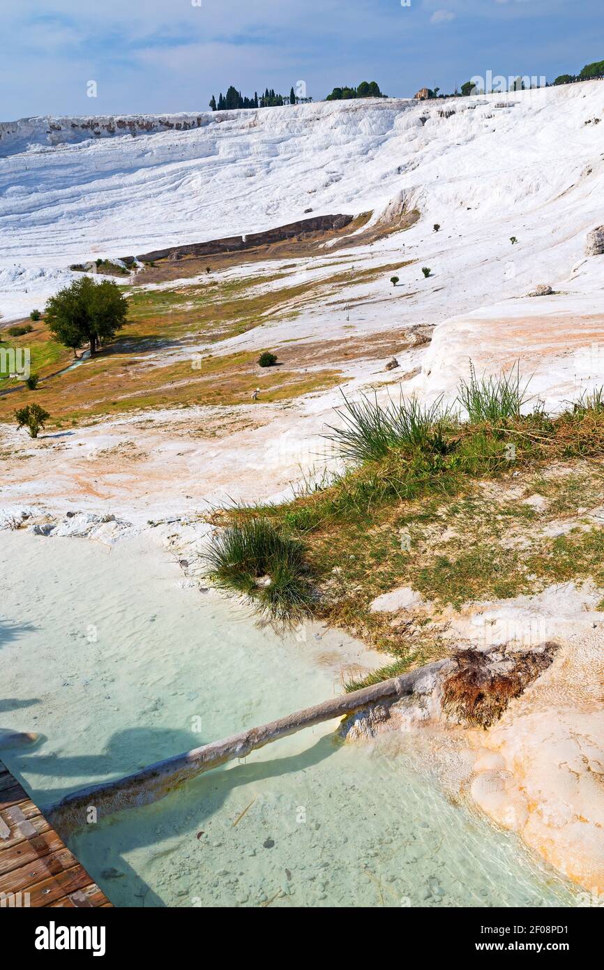 Tree abstract in pamukkale old calcium Stock Photo - Alamy