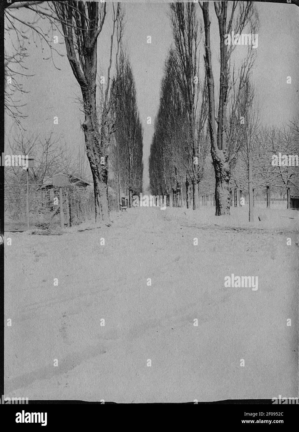 Planegg hi-res stock photography and images - Alamy