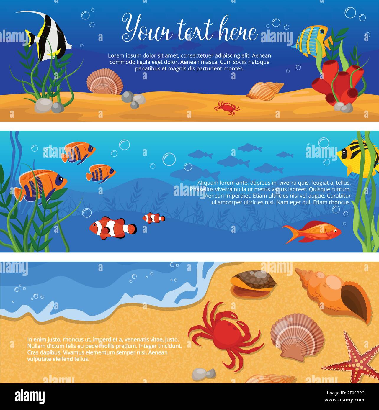 Three isolated horizontal sea life animals plants banner set with fish ...