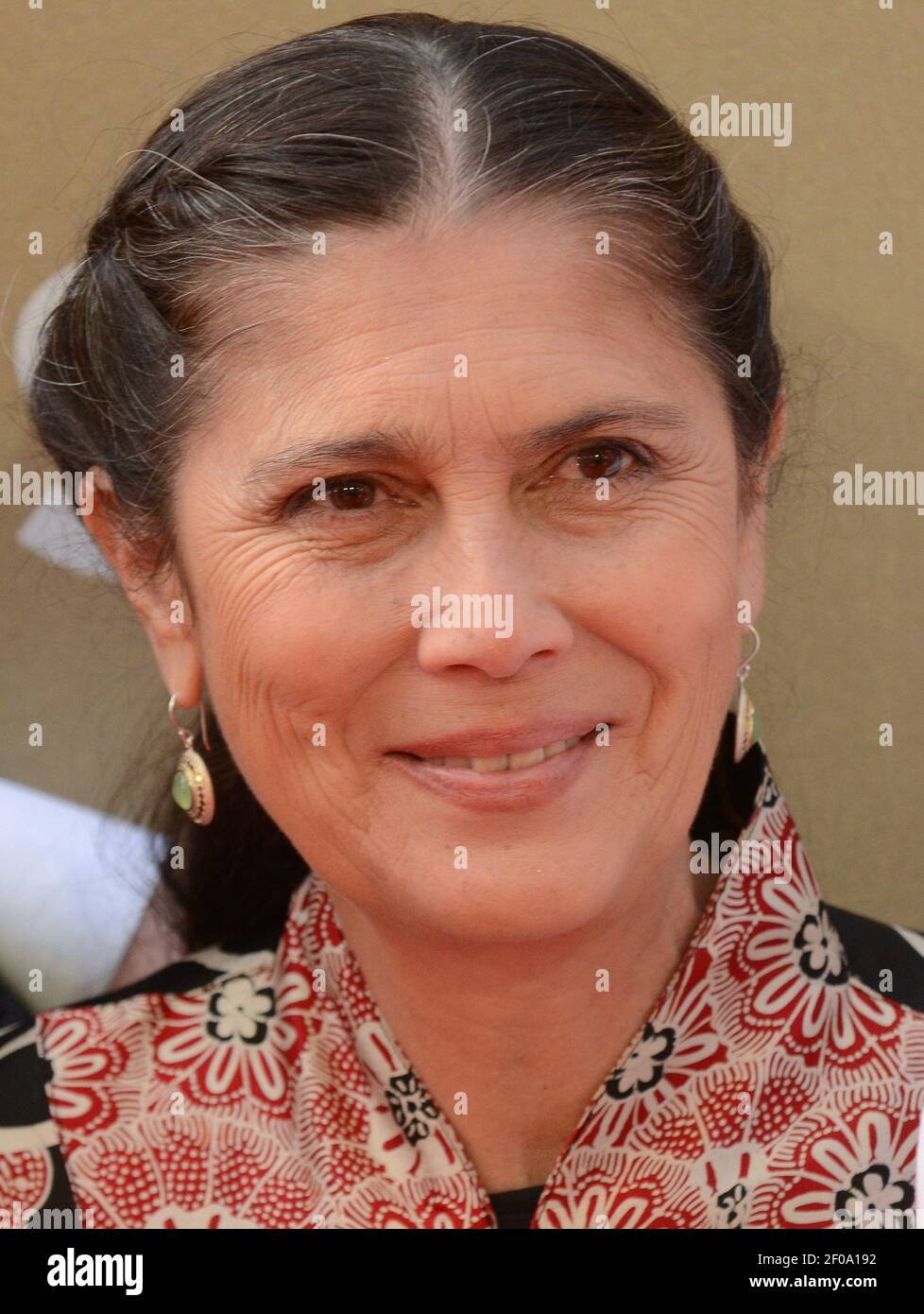 Robin Lim. 11 December 2011, Los Angeles, California. 2011 CNN Heroes ...