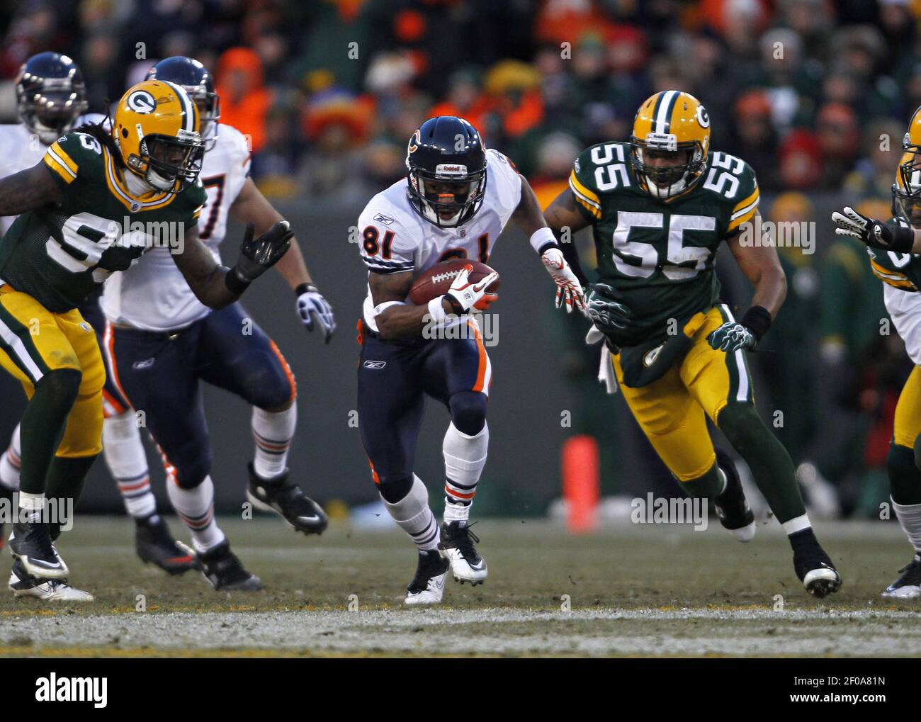 Chicago Bears wide receiver Rashied Davis (81) makes a reception in the ...