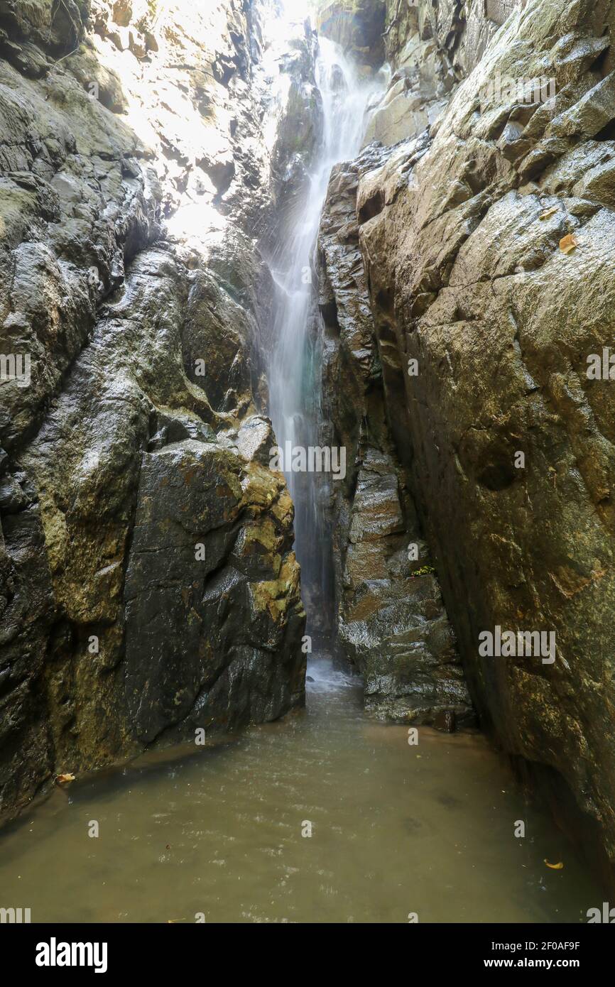Waterfall making its way into a pond in the rainforest Stock Photo - Alamy
