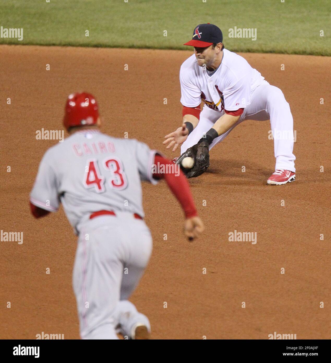 St. Louis Cardinals second baseman Nick Punto fields a ground ball off ...