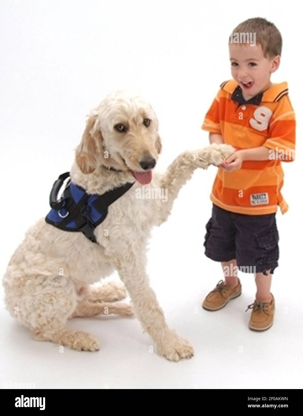 Ayden Silva poses for a photo with his service dog, Chatham. (Photo by ...