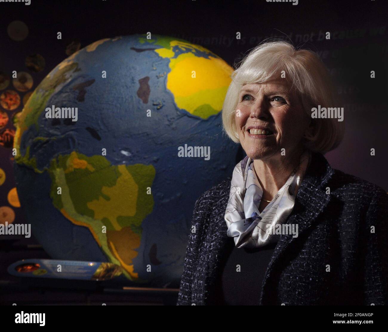 Jane Sith Wolcott, widow of Challenger pilot Mike Smith, reflects on ...