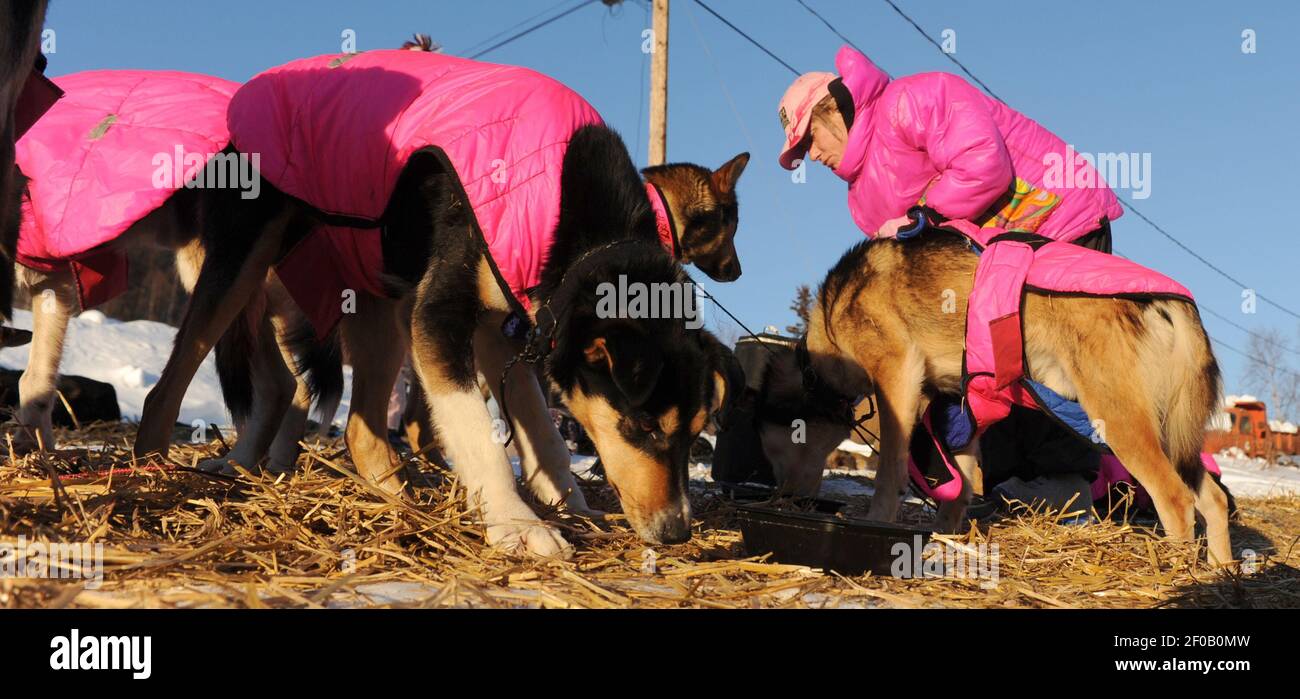 Iditarod musher DeeDee Jonrowe from Willow, Alaska feeds her sled dogs ...