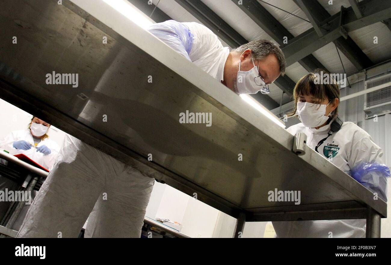 Dr. Connie Chevis, DVM, right, and Dr. Joey Kaletsch, DVM, take samples ...