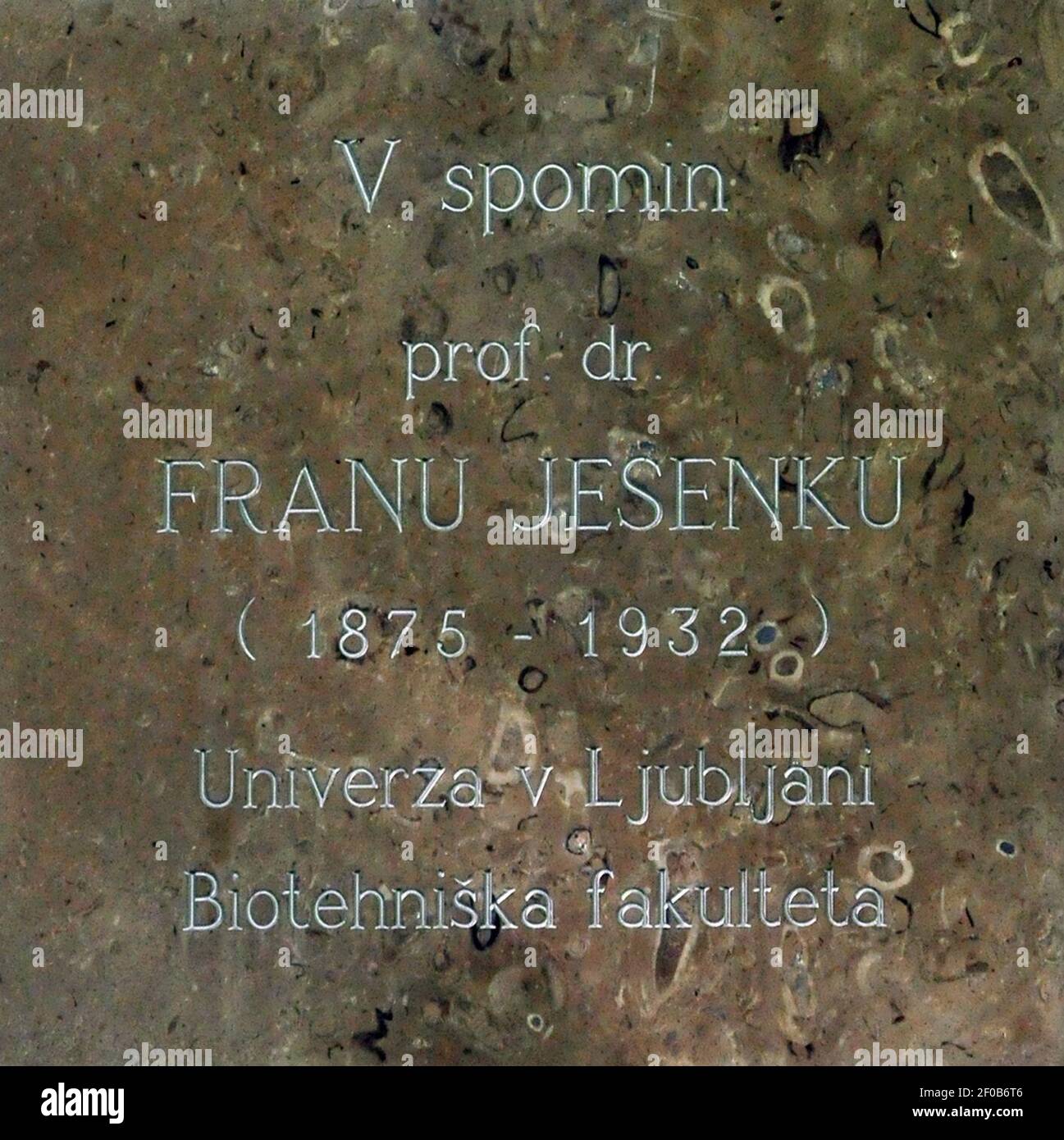 Plaque for Fran Jesenko (1875-1932 Stock Photo - Alamy