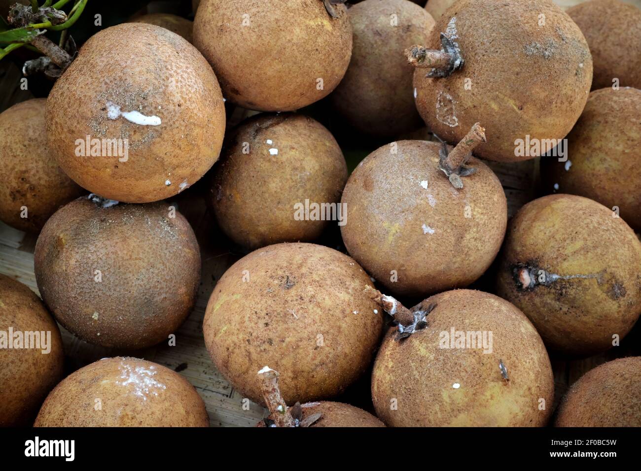 Chico fruit hi-res stock photography and images - Alamy