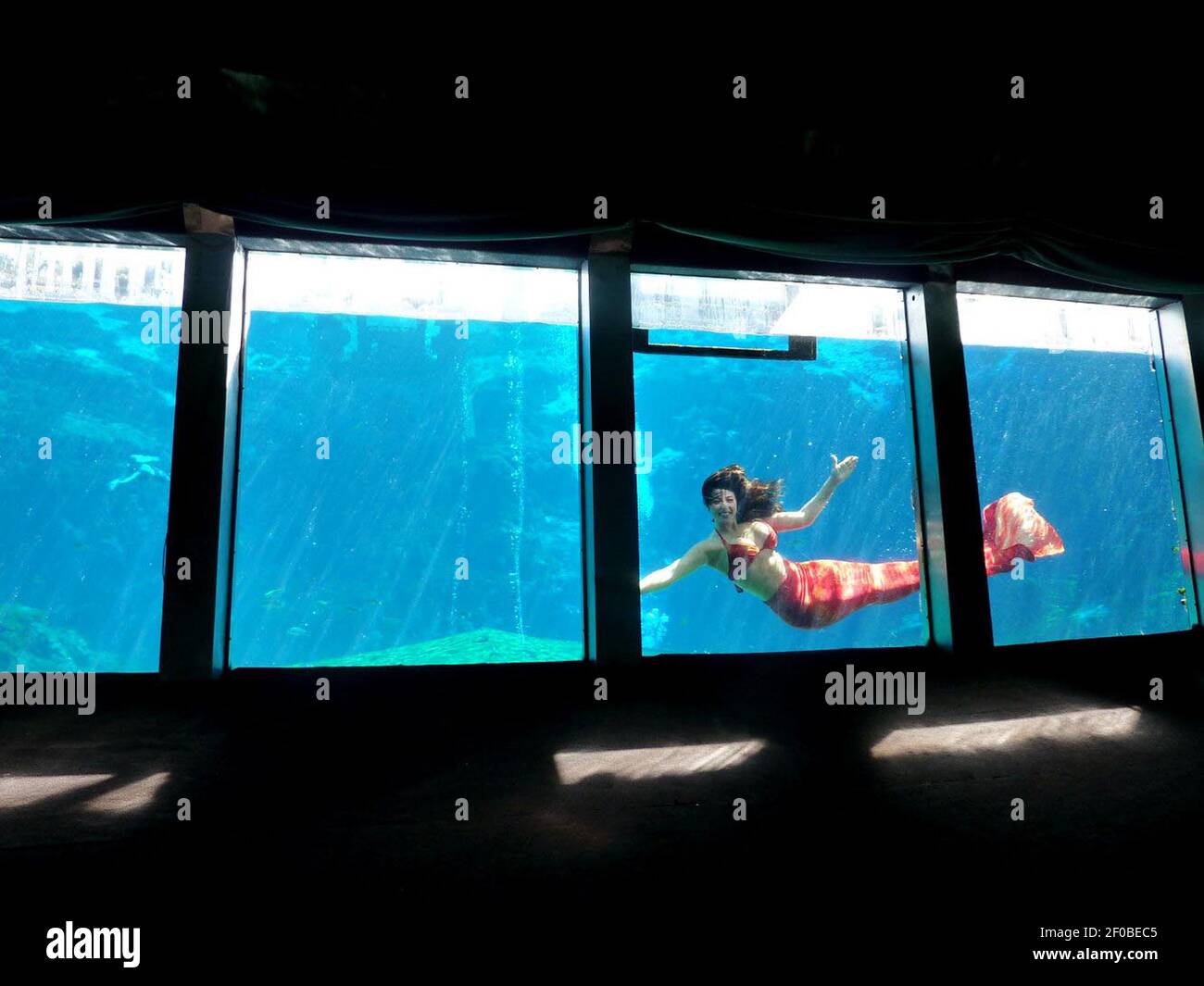 A mermaid performs in the original mermaid show at Weeki Wachee in ...