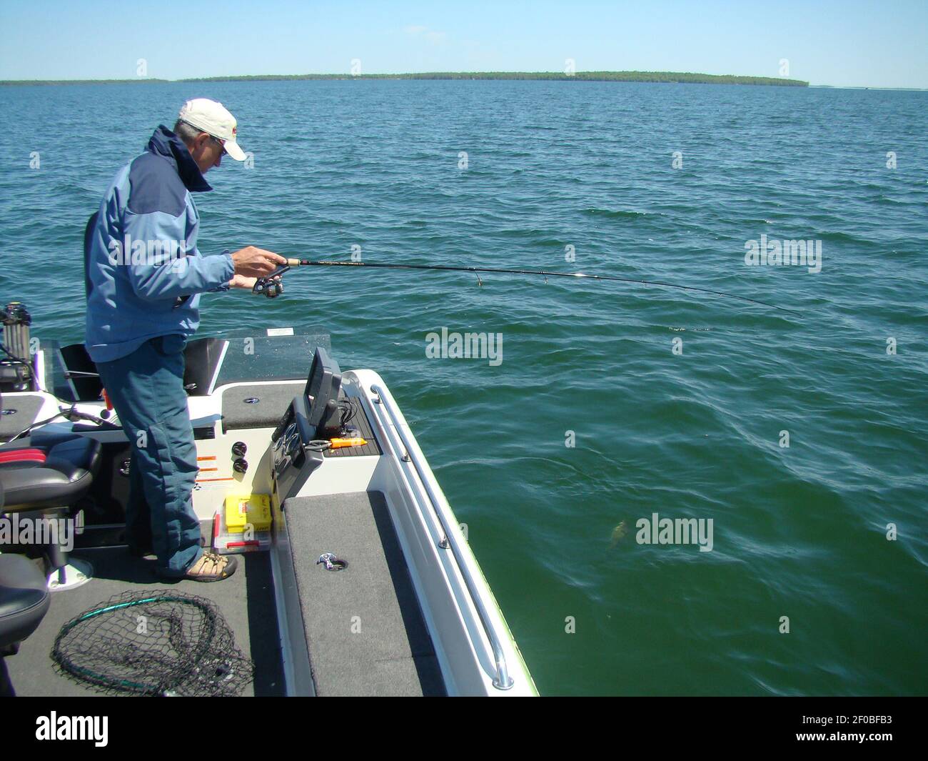 Chip Leer of Walker, Minnesota, brings a walleye to the boat during a ...