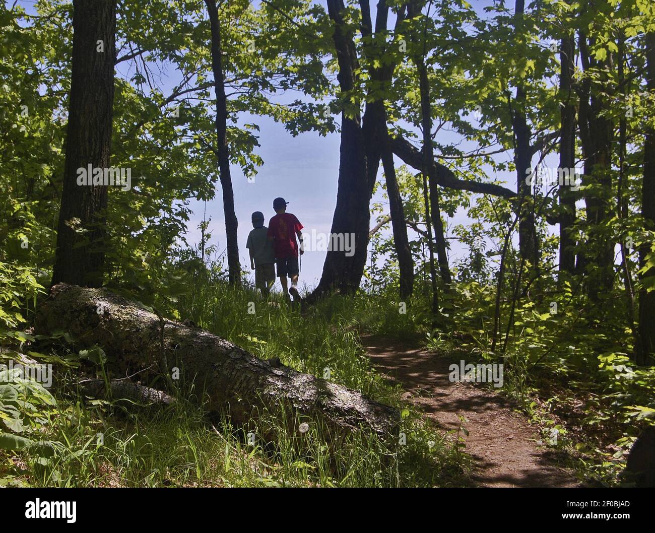 Kids hike the Oberg Mountain loop trail near the Lutsen Resort that ...