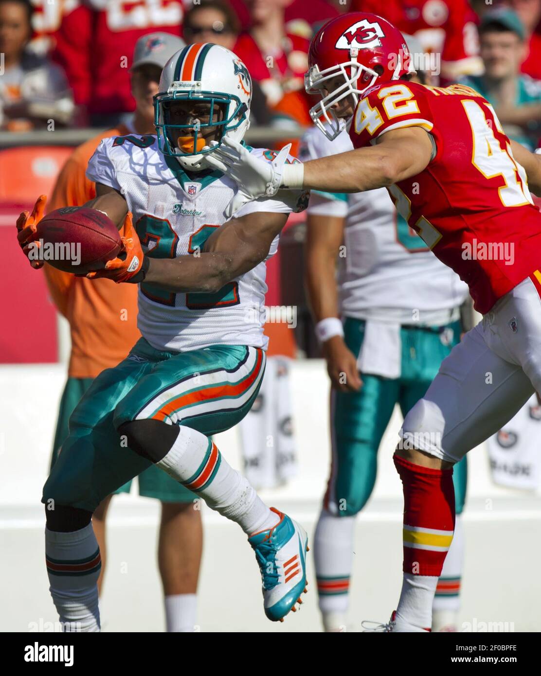 Miami Dolphins running back Reggie Bush (22) catches a 27-yard pass ...