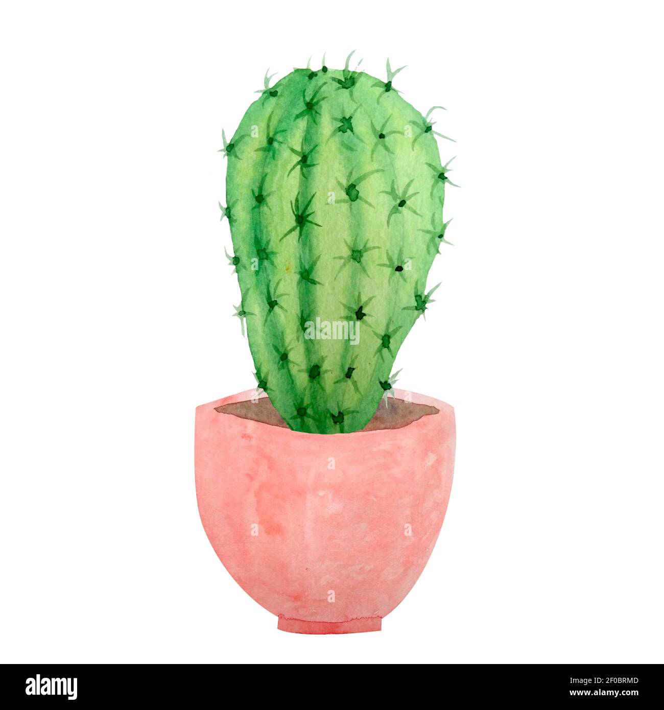 Watercolor cactus cacti succulent in ceramic pot. Potted house green ...