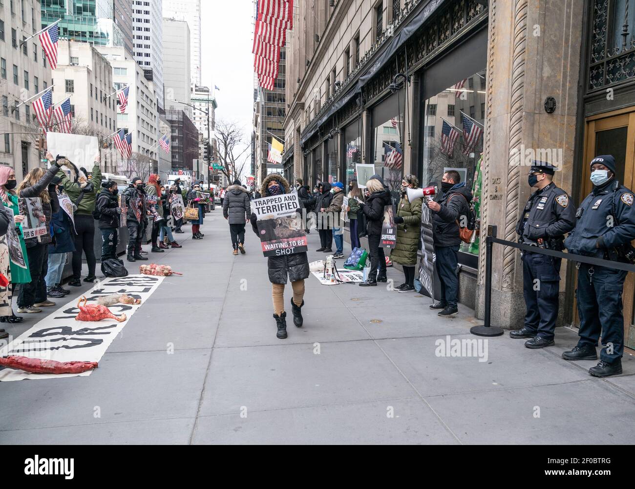 New York, NY - March 6, 2021: Animal rights activists staged rally in ...