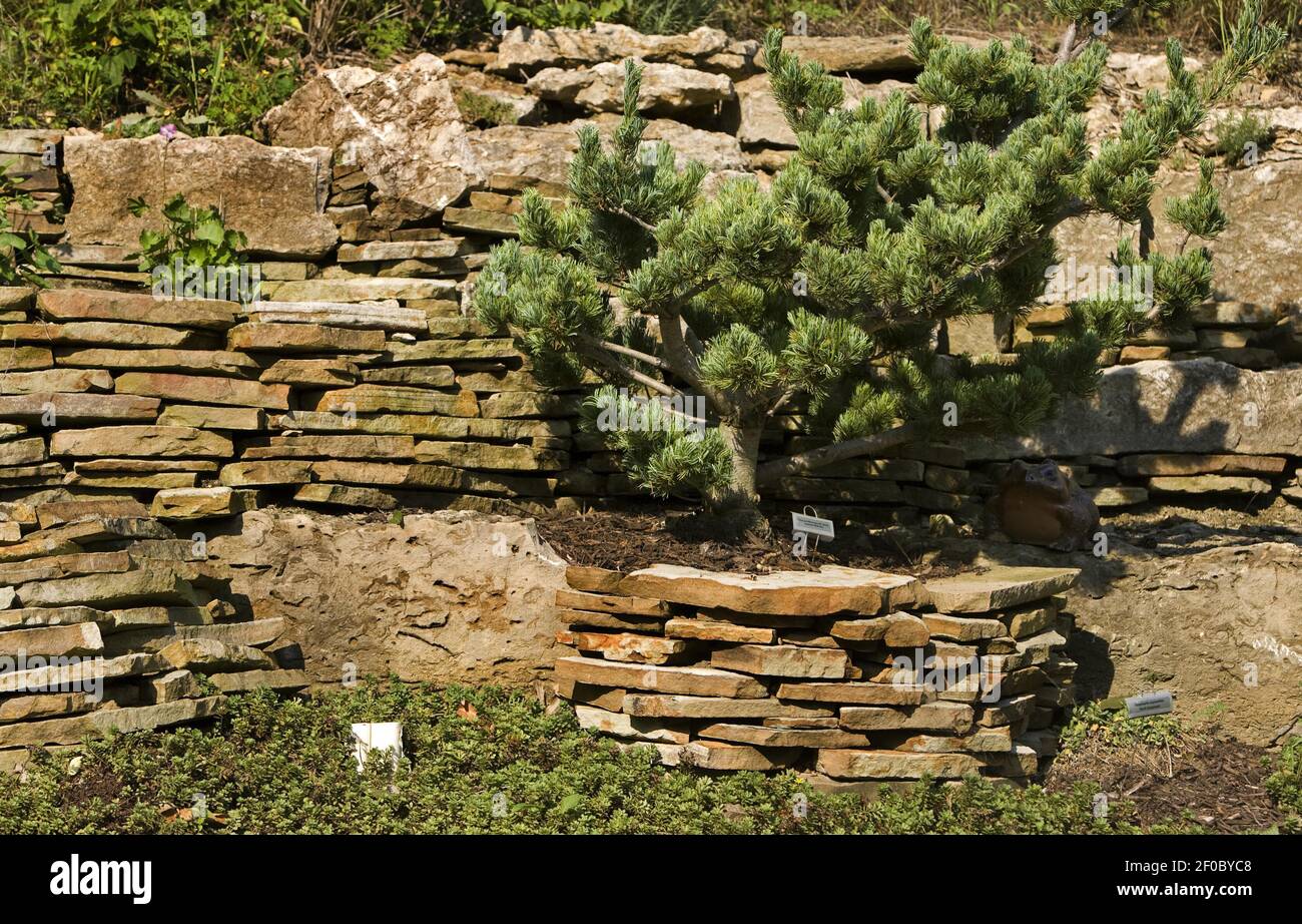 A stacked stone planter is home for an evergreen at the home of Nancy ...