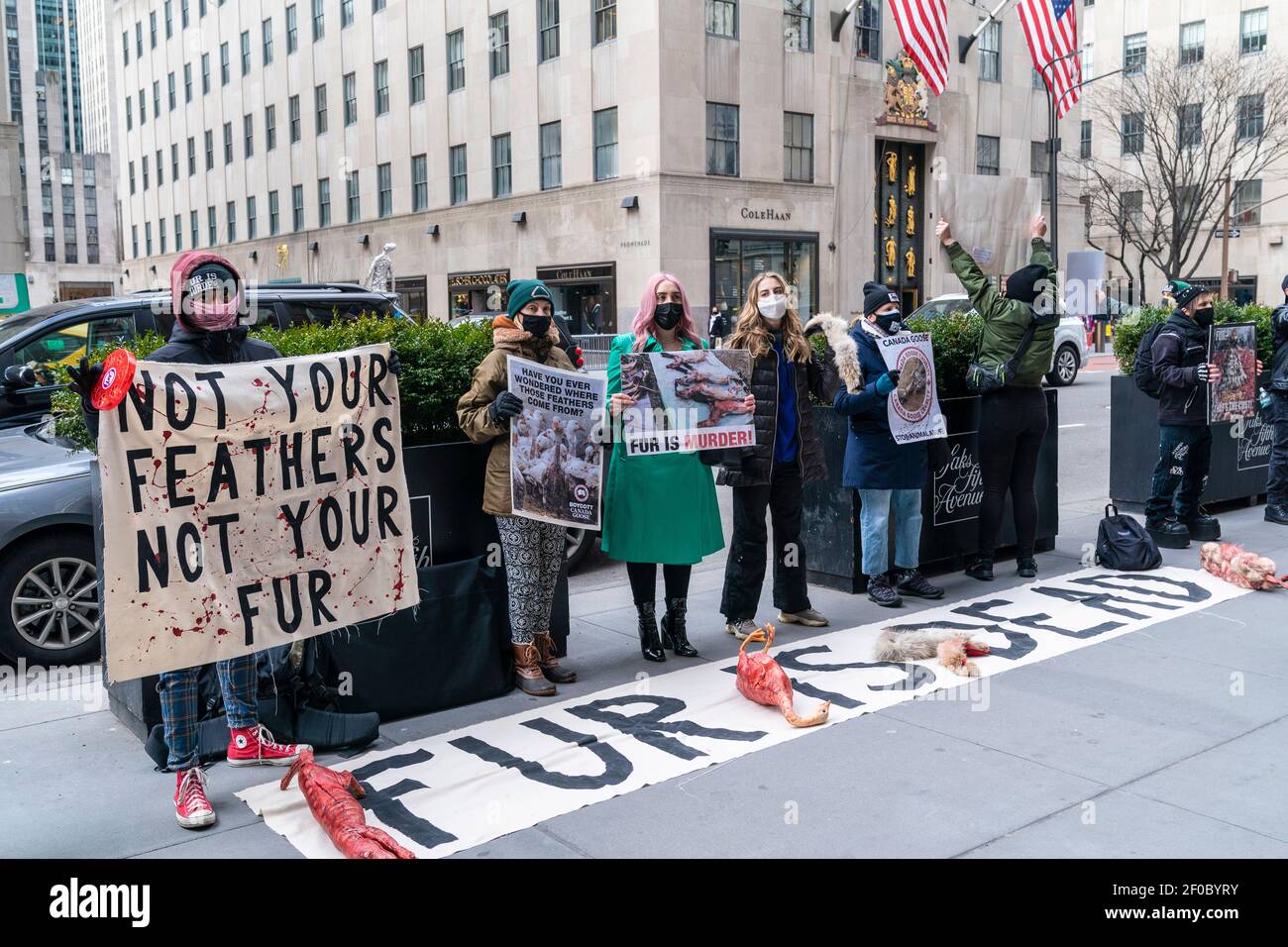 New York, NY - March 6, 2021: Animal rights activists staged rally in ...